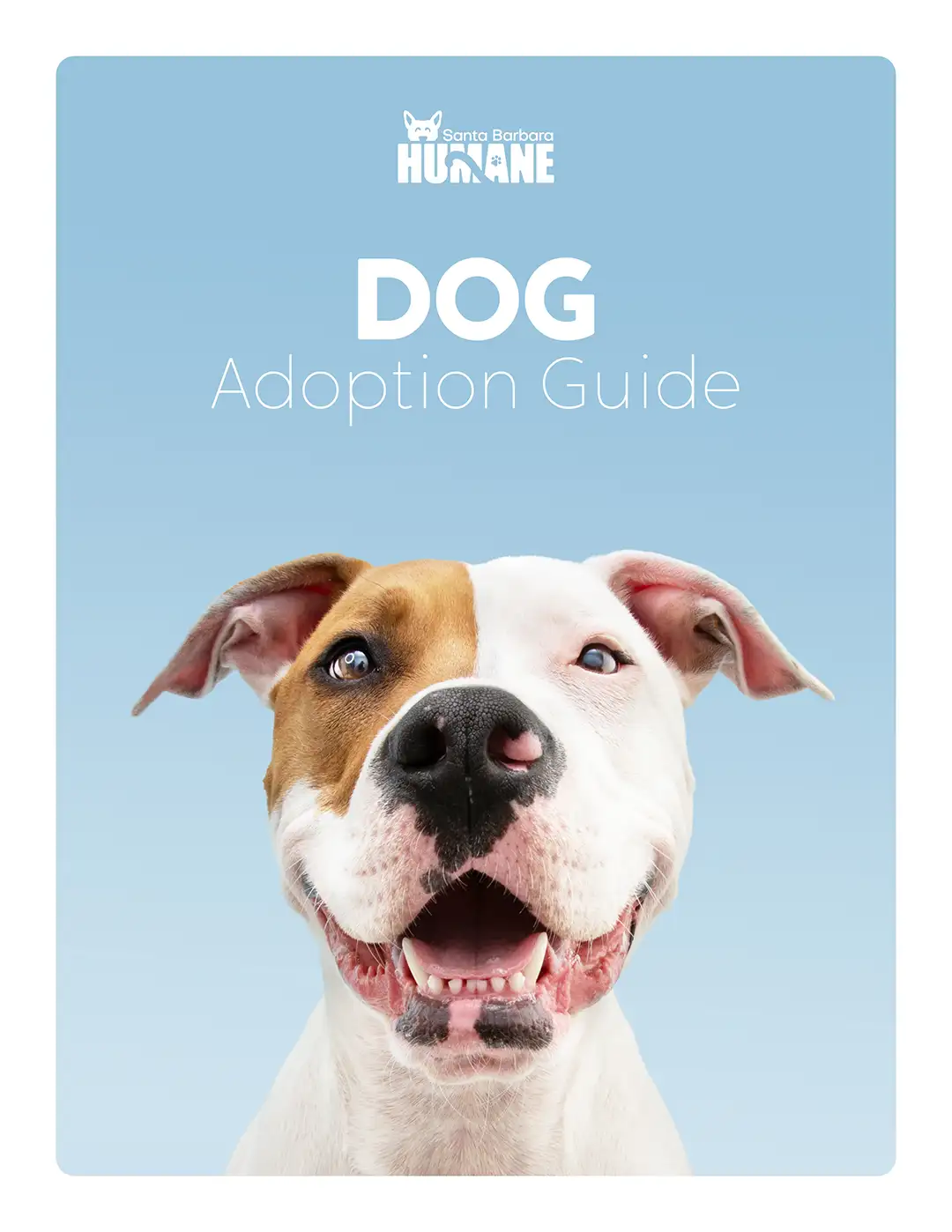 Dogs and Cats Available for Adoption | Santa Barbara Humane